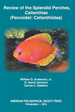 Review of the Splendid Perches, Callanthias (Percoidei: Callanthiidae ...